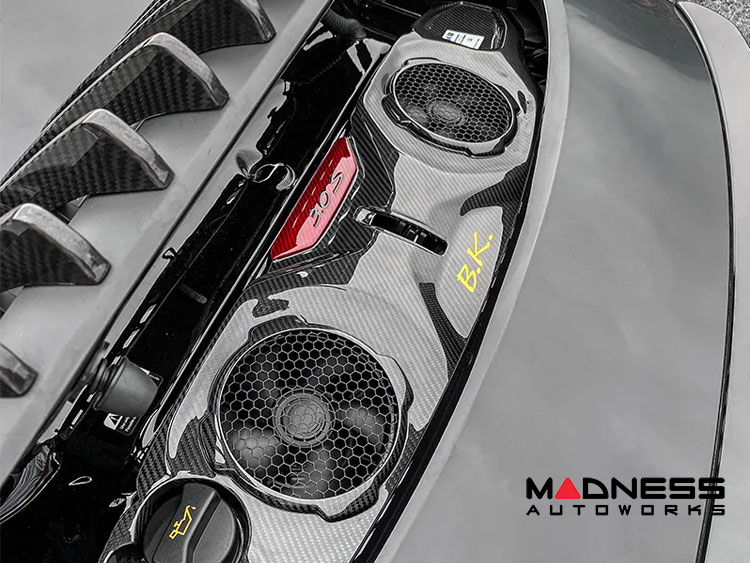 Porsche 992 Engine Cover - Carbon Fiber, P992-08