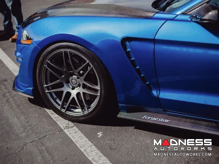 Ford Mustang Front Fenders - Anderson Composites - Fiberglass Set ...